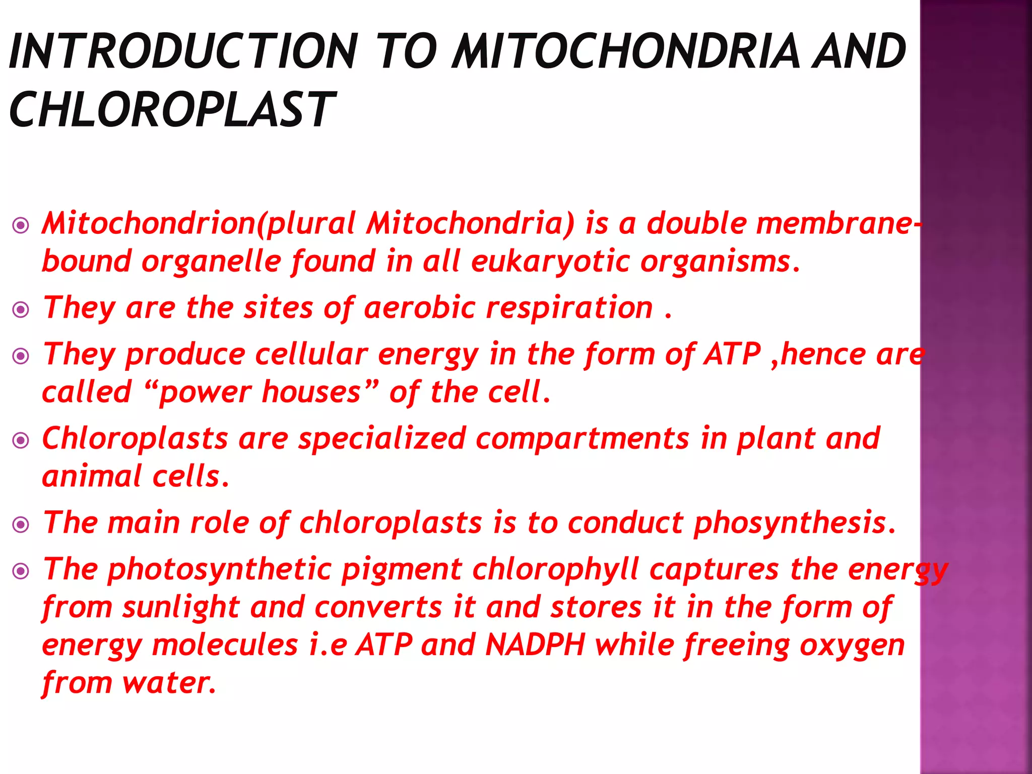 The endosymbiosis theory associated with mitochondria and chloroplast ...