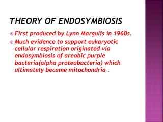 The endosymbiosis theory associated with mitochondria and chloroplast ...