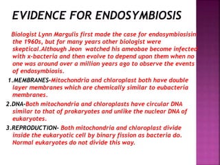 The endosymbiosis theory associated with mitochondria and chloroplast ...