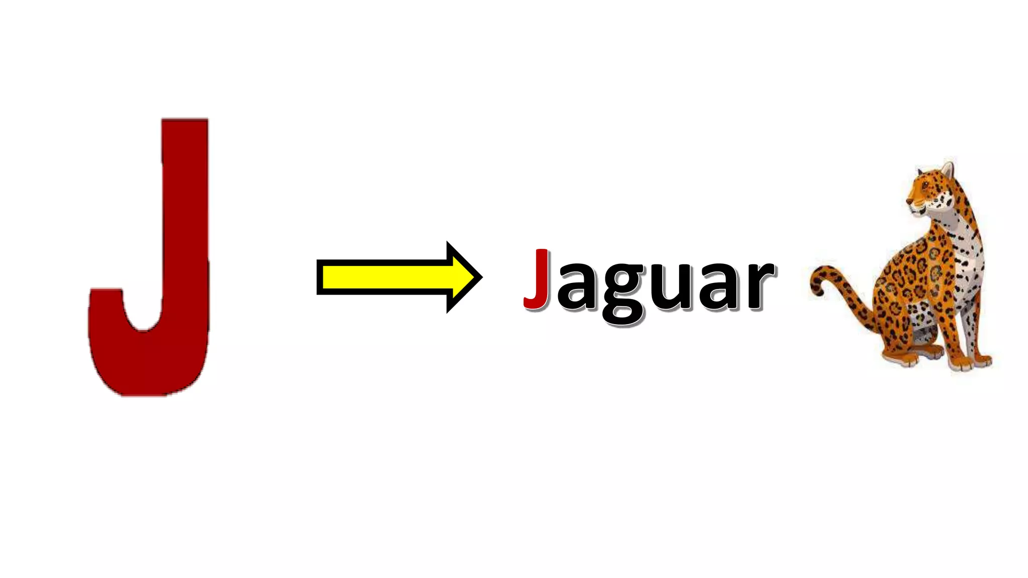 The English Alphabet Slides | PPTX