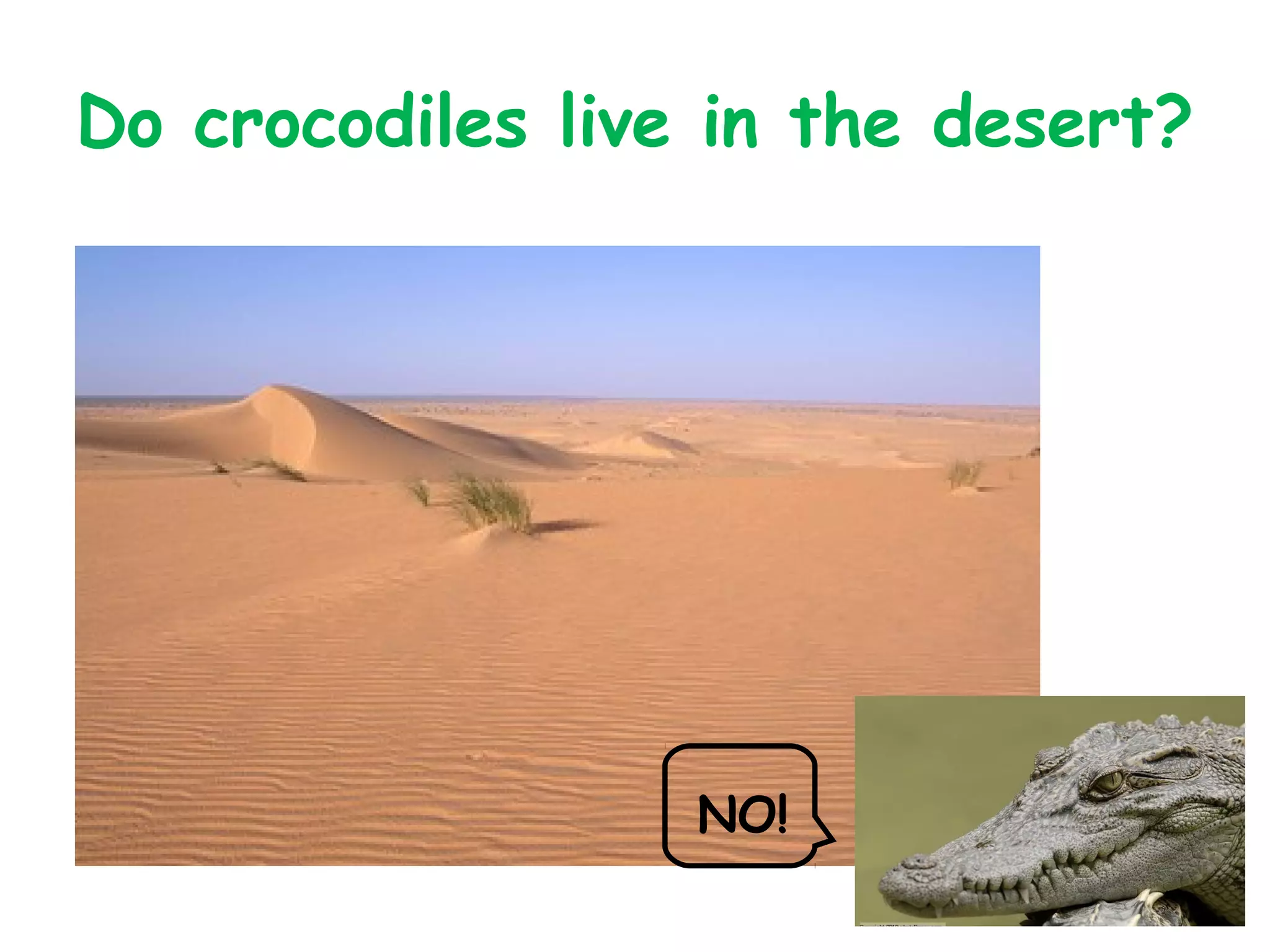 The enormous crocodile | PPT