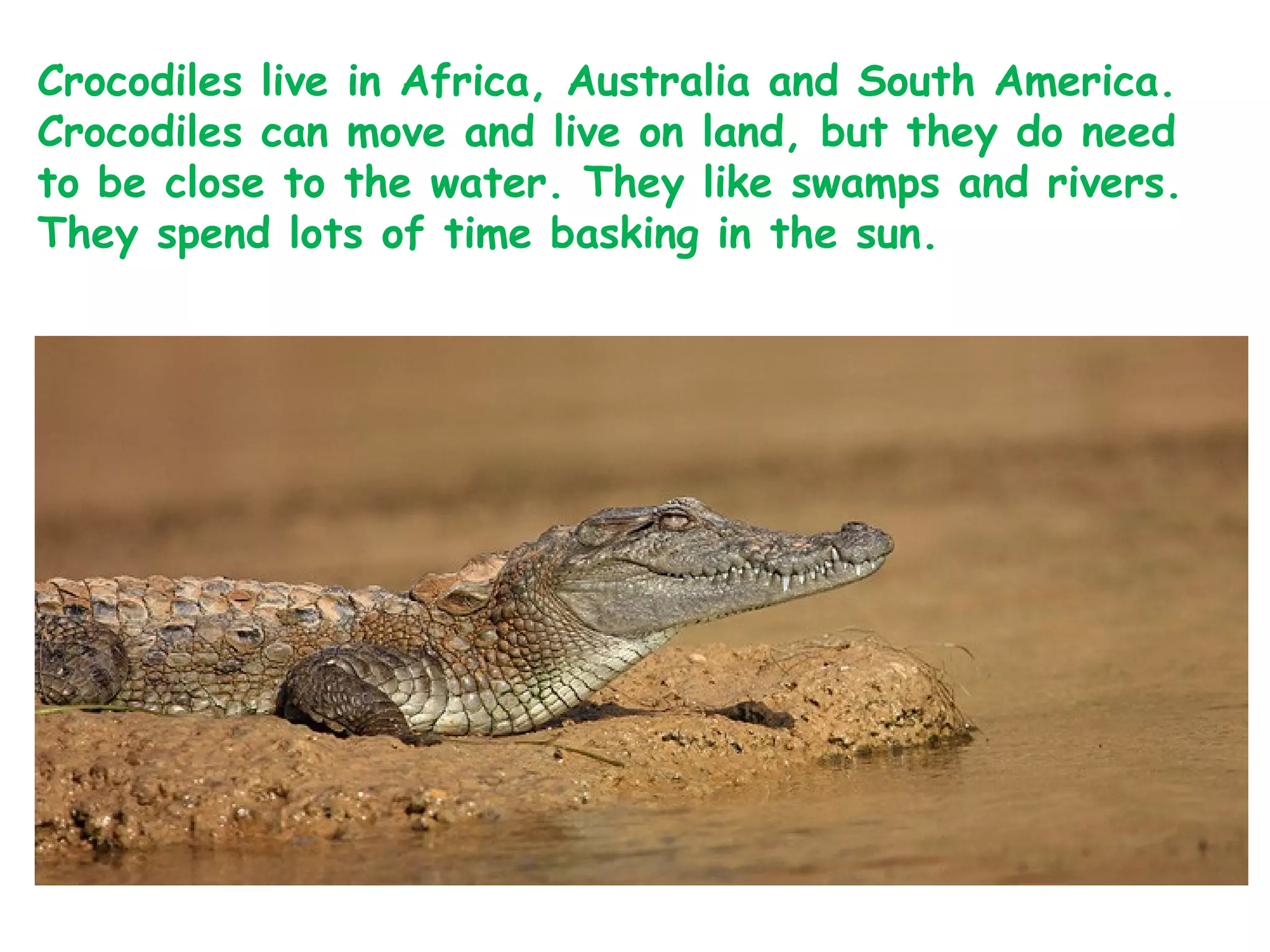 The enormous crocodile | PPT