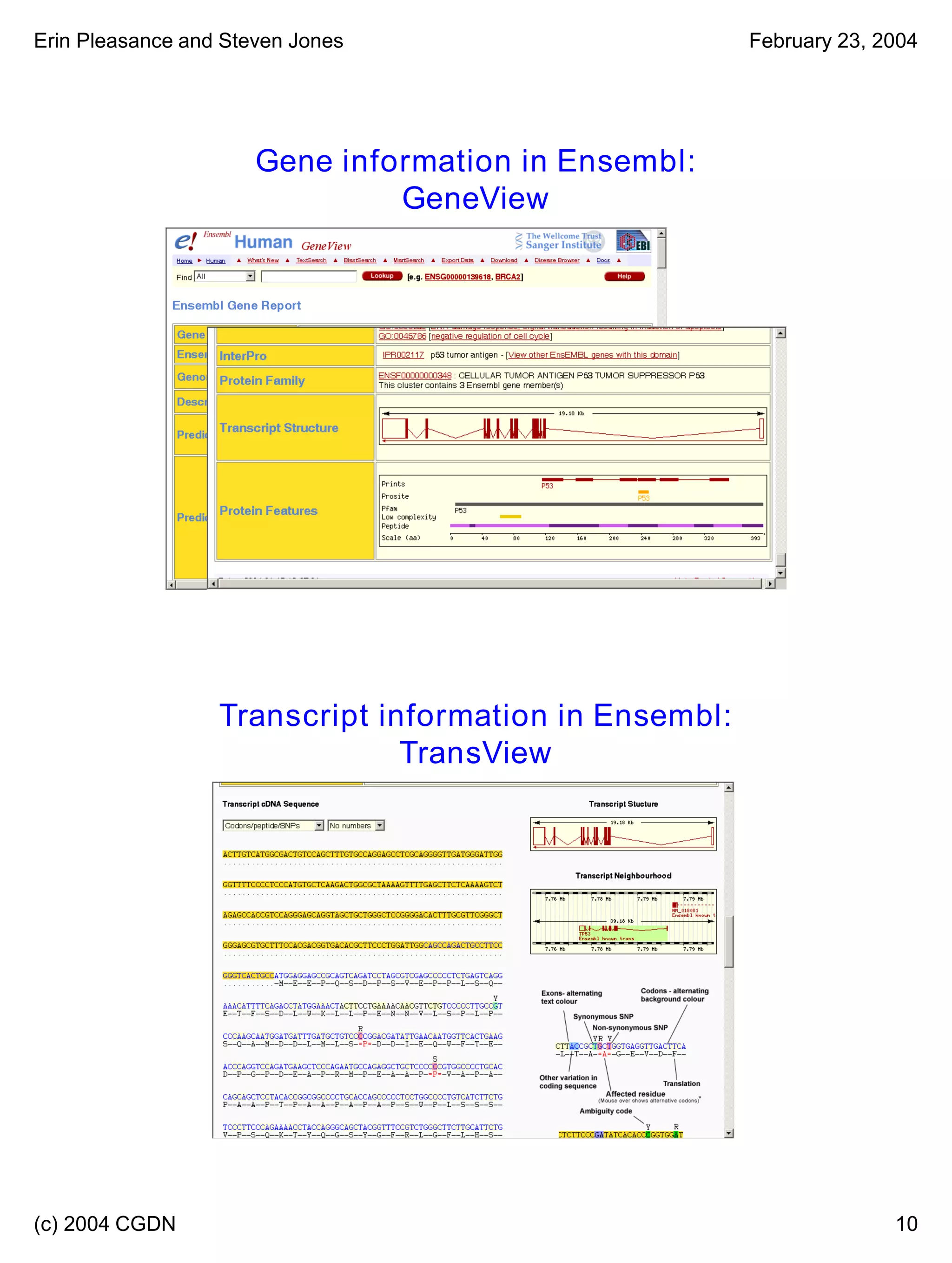 The ensembl database | PDF