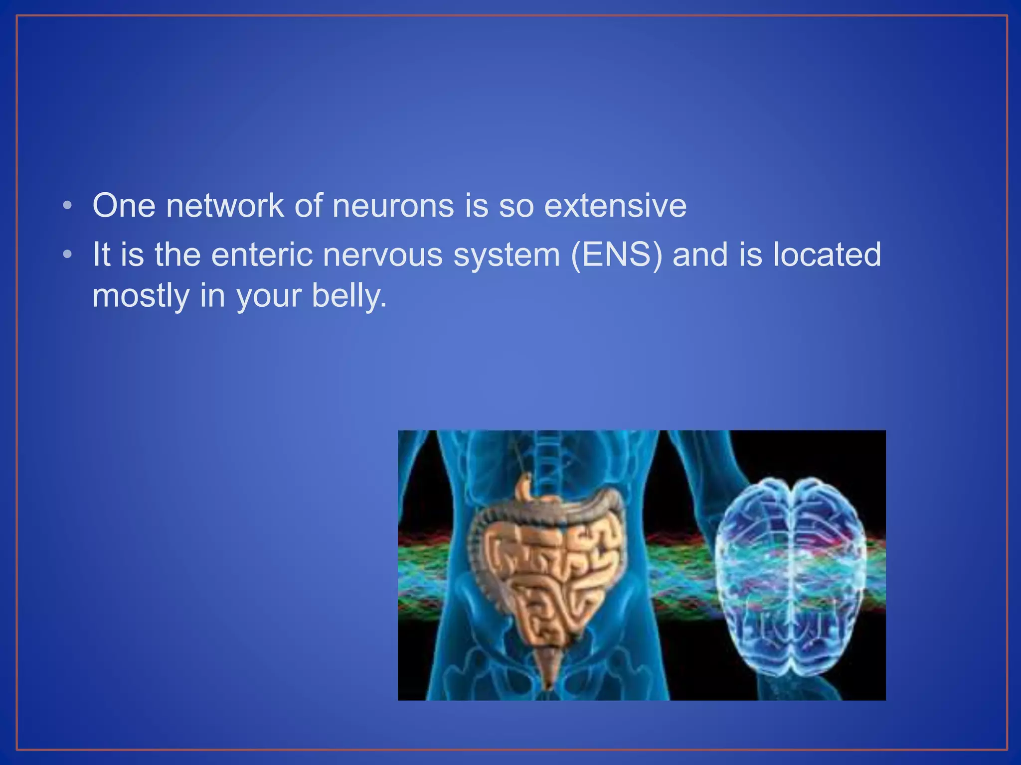The enteric nervous system—your body’s | PPTX