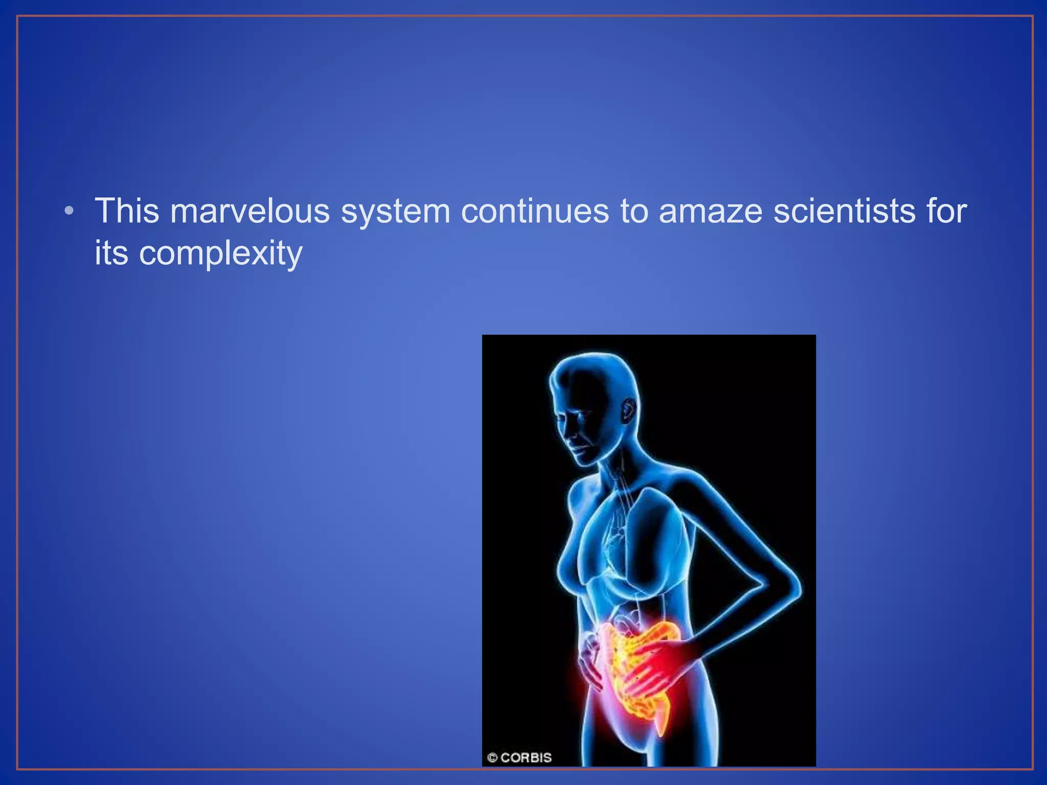 The enteric nervous system—your body’s | PPT