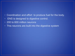 The enteric nervous system—your body’s | PPT