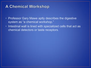 The enteric nervous system—your body’s | PPT