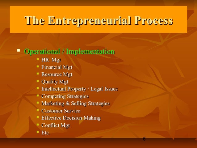 The entrepreneurial process
