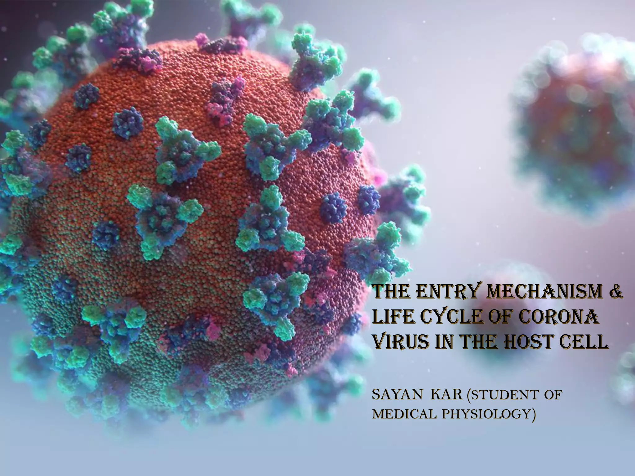 The entry mechanism of corona virus into the host cell. | PPT