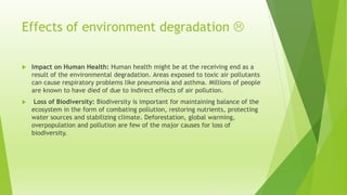 The environment | PPTX