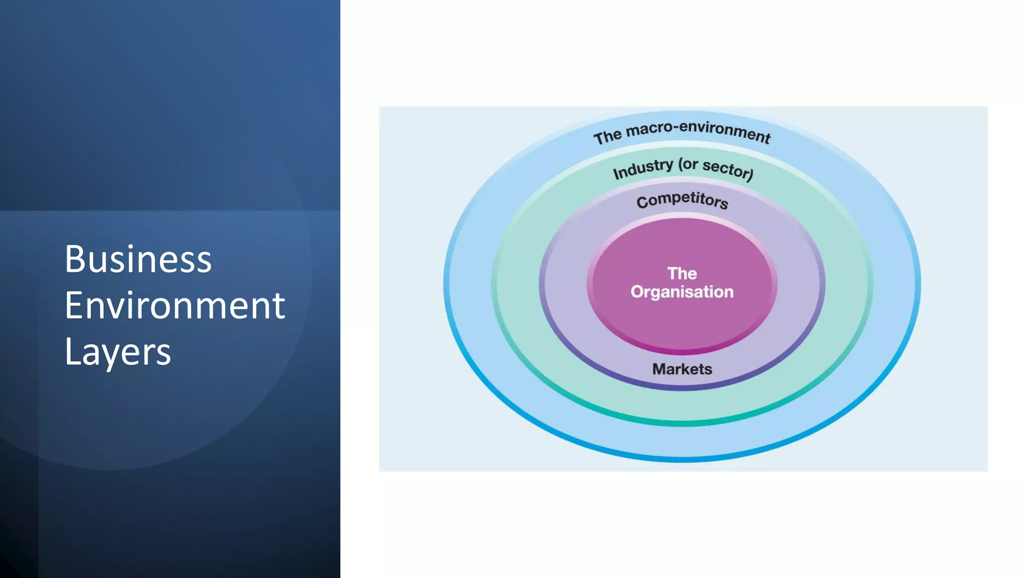 The Environment (1).pptx