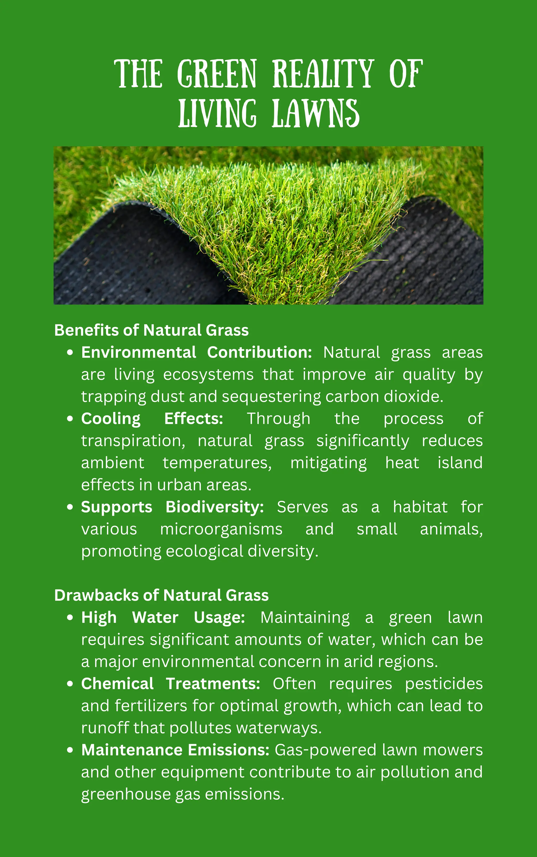 The Environmental Impact of Synthetic vs. Natural Grass..pdf