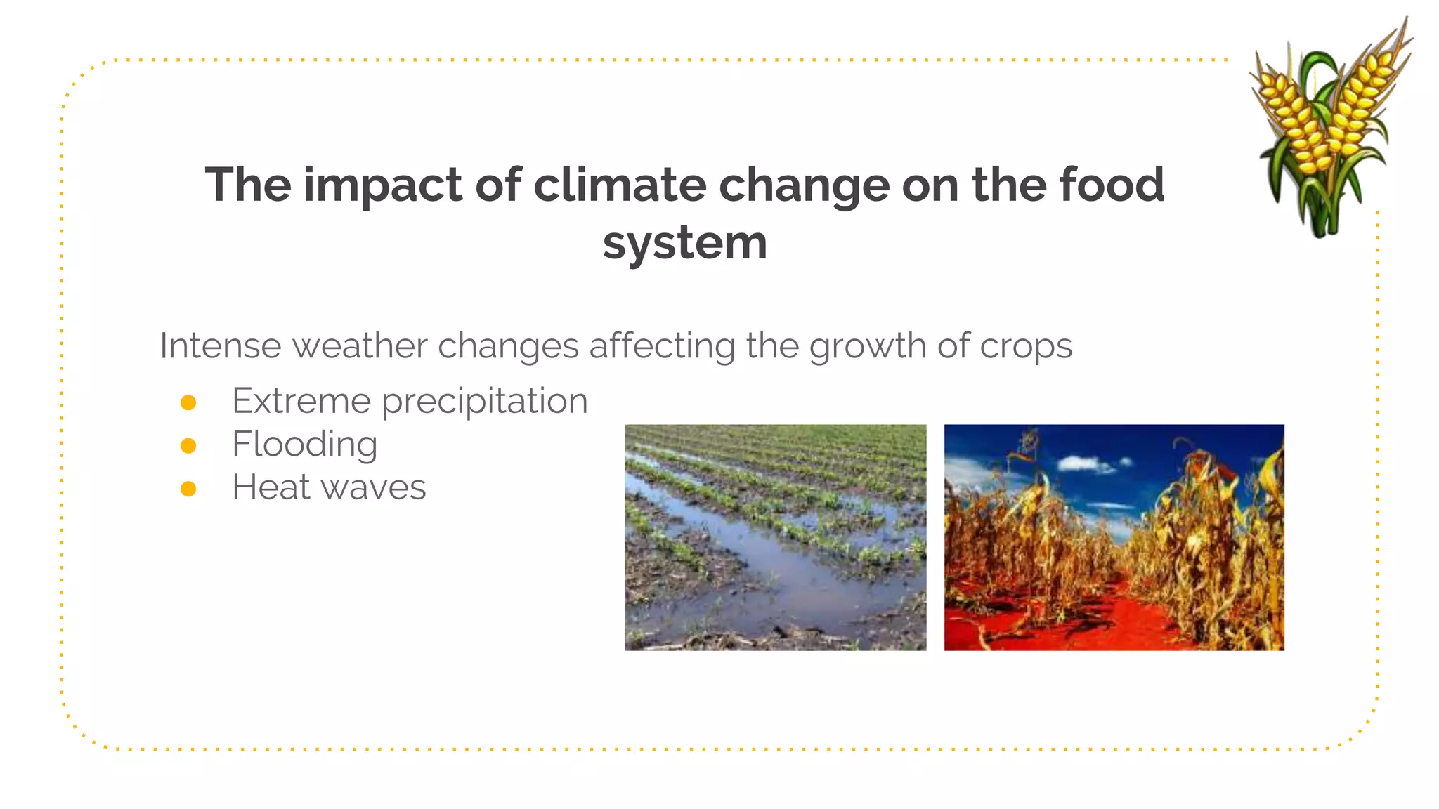 The Environmental Impact of the Food System | PPTX