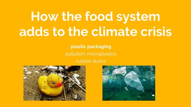 The Environmental Impact of the Food System | PPTX