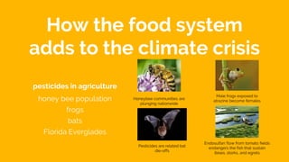 The Environmental Impact of the Food System | PPTX