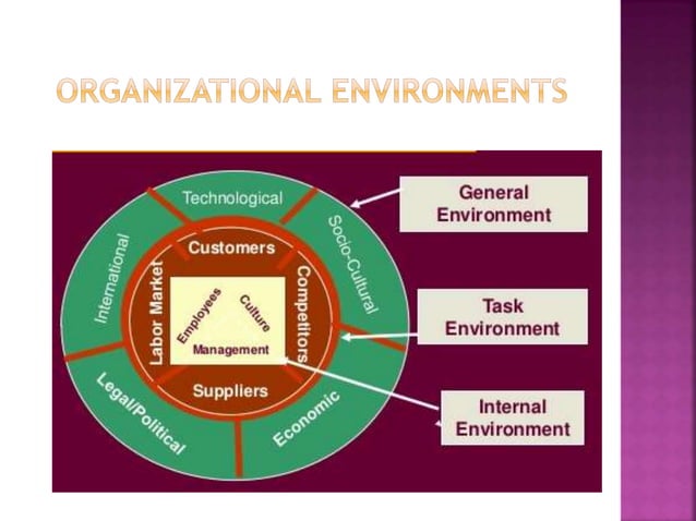 The Environment and Corporate culture | PPTX