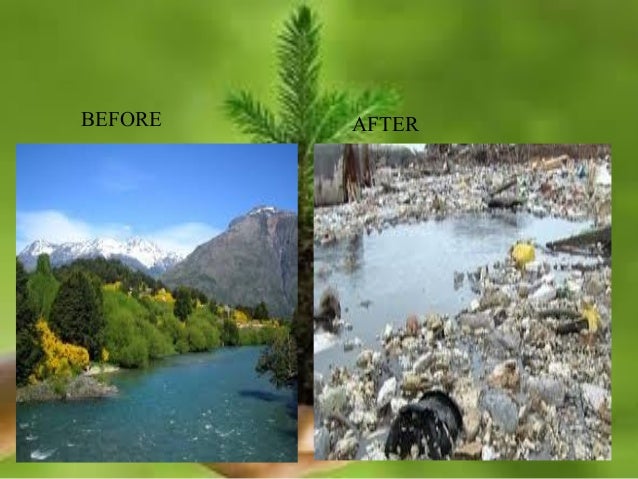 The environment project