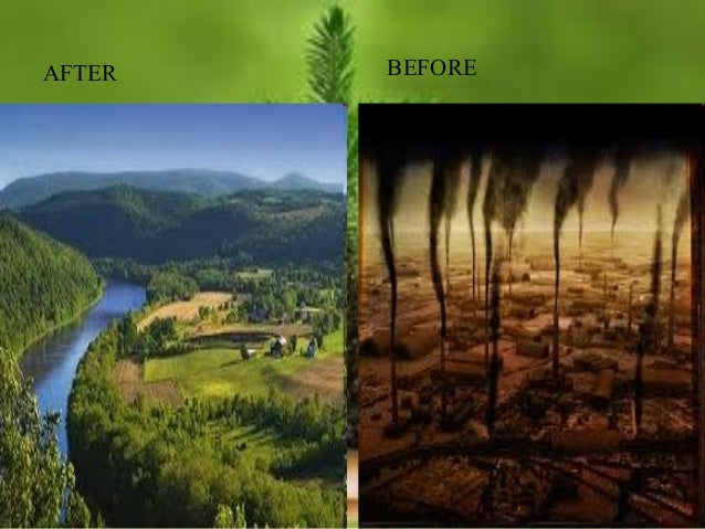 The environment project