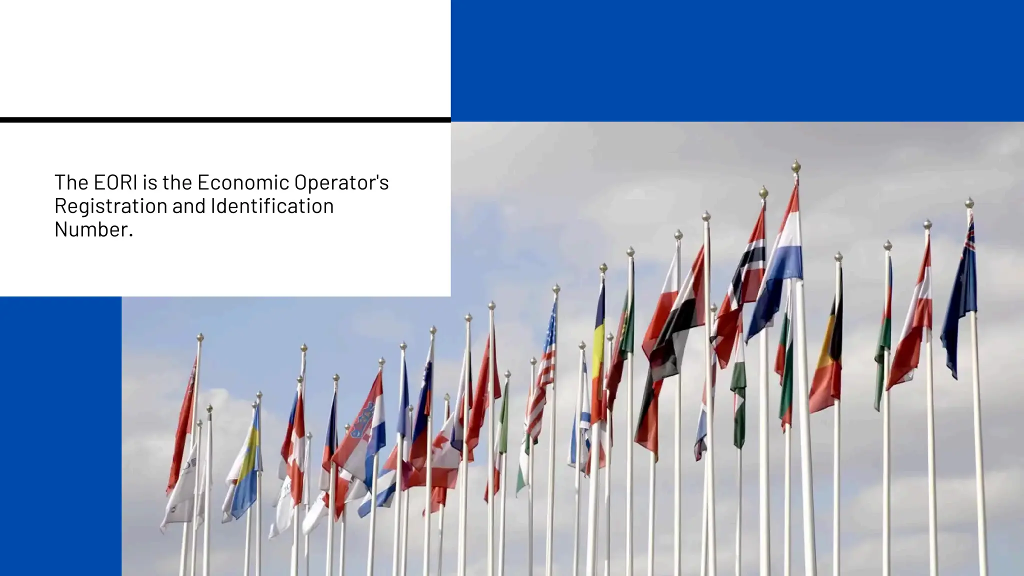 The EORI Number in Poland - Importance and Use | PDF