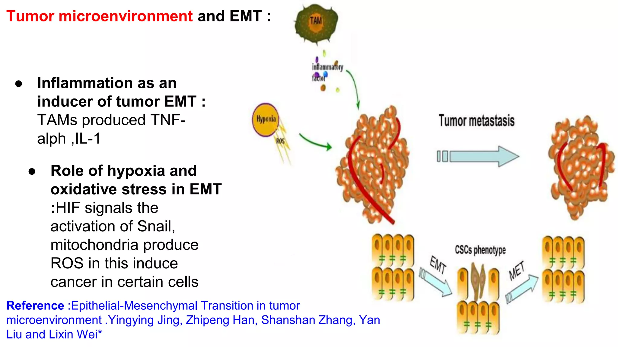 The epithelial to-mesenchymal transition (EMT) in cancer-metastasis | PPTX