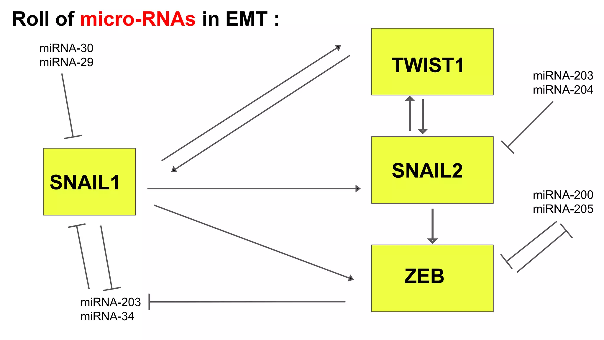 The epithelial to-mesenchymal transition (EMT) in cancer-metastasis | PPTX