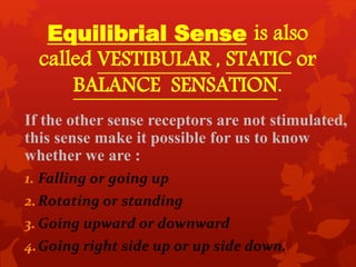 The equilibrial sense | PPTX