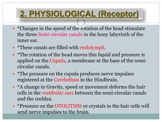 The equilibrial sense | PPT