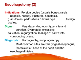 THE ESOPHAGUS AND STOMACH surgery Animals.pptx