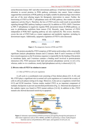 Essence of PTEN: a Broad-Spectrum Therapeutic Target in Cancer | PDF