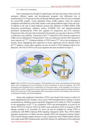 Essence of PTEN: a Broad-Spectrum Therapeutic Target in Cancer | PDF