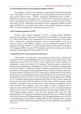 Essence of PTEN: a Broad-Spectrum Therapeutic Target in Cancer | PDF