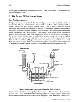 The essentialcandu | PDF
