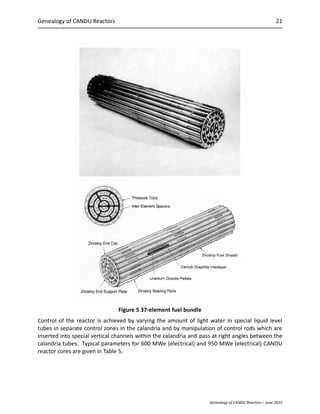 The essentialcandu | PDF