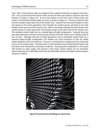 The essentialcandu | PDF