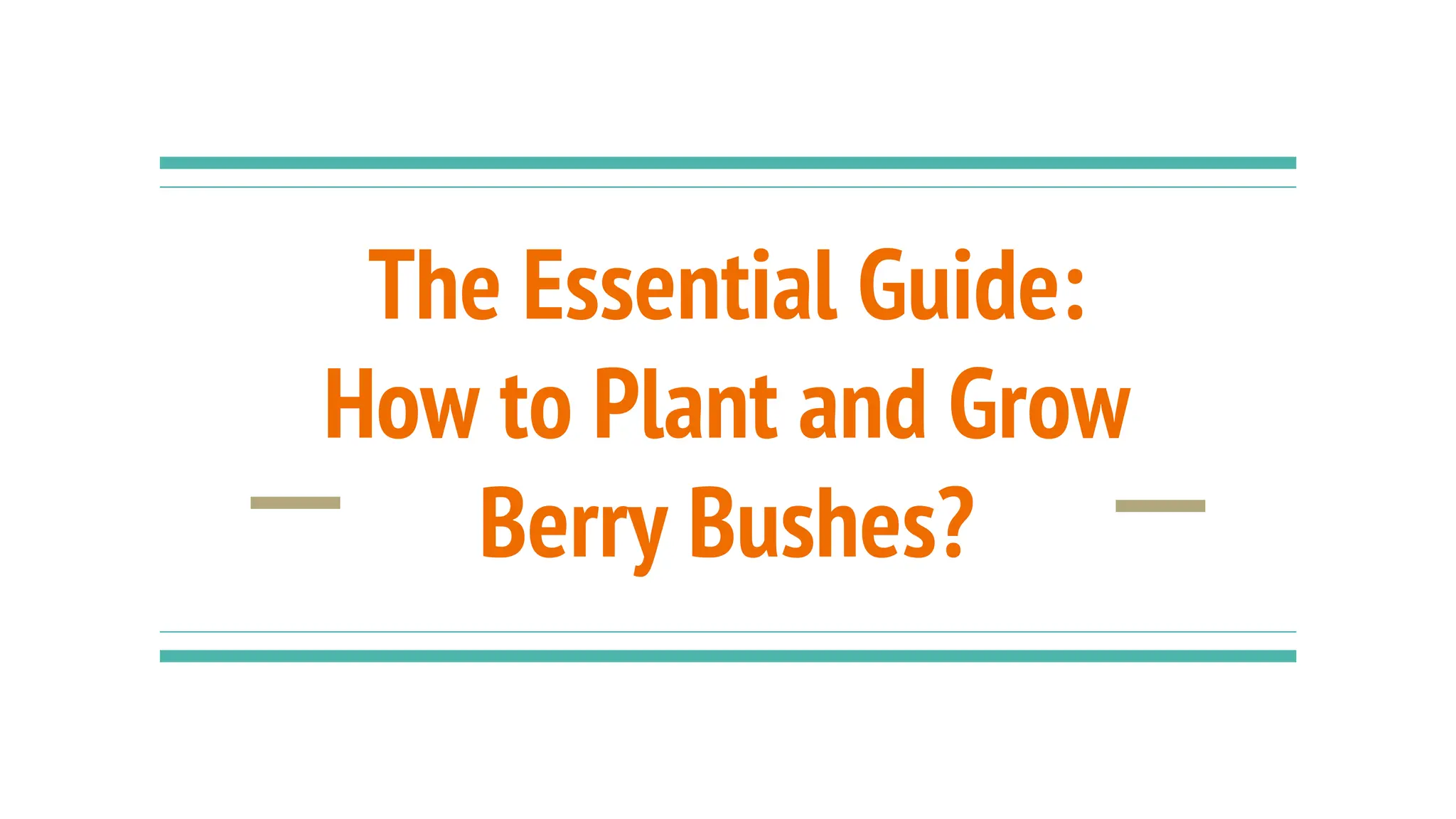 The Essential Guide: How to Plant and Grow Berry Bushes_.pptx