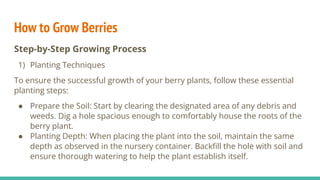 The Essential Guide: How to Plant and Grow Berry Bushes_.pptx
