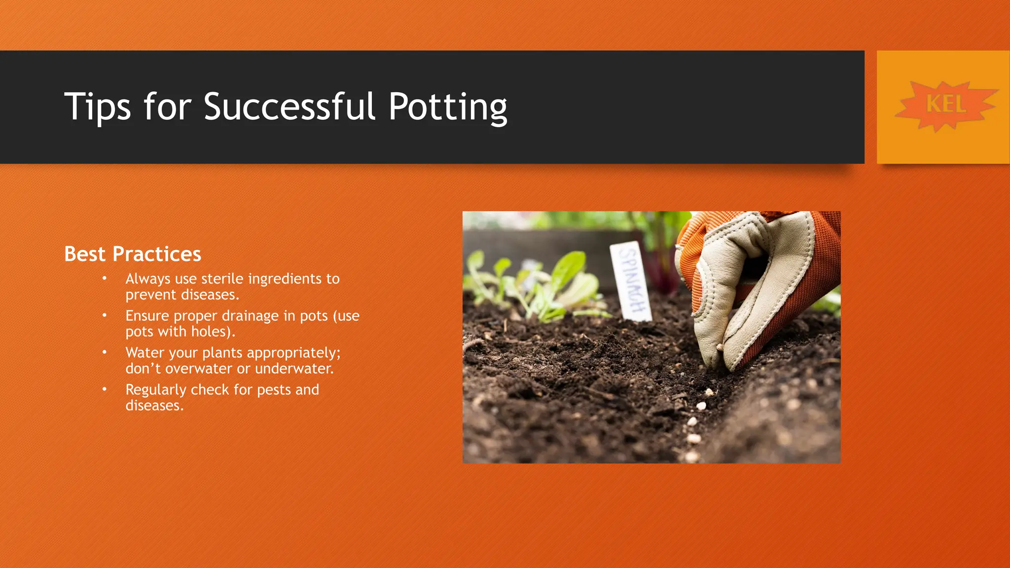 The Essential Guide to Potting Soil Ingredients for Thriving Plants.pptx
