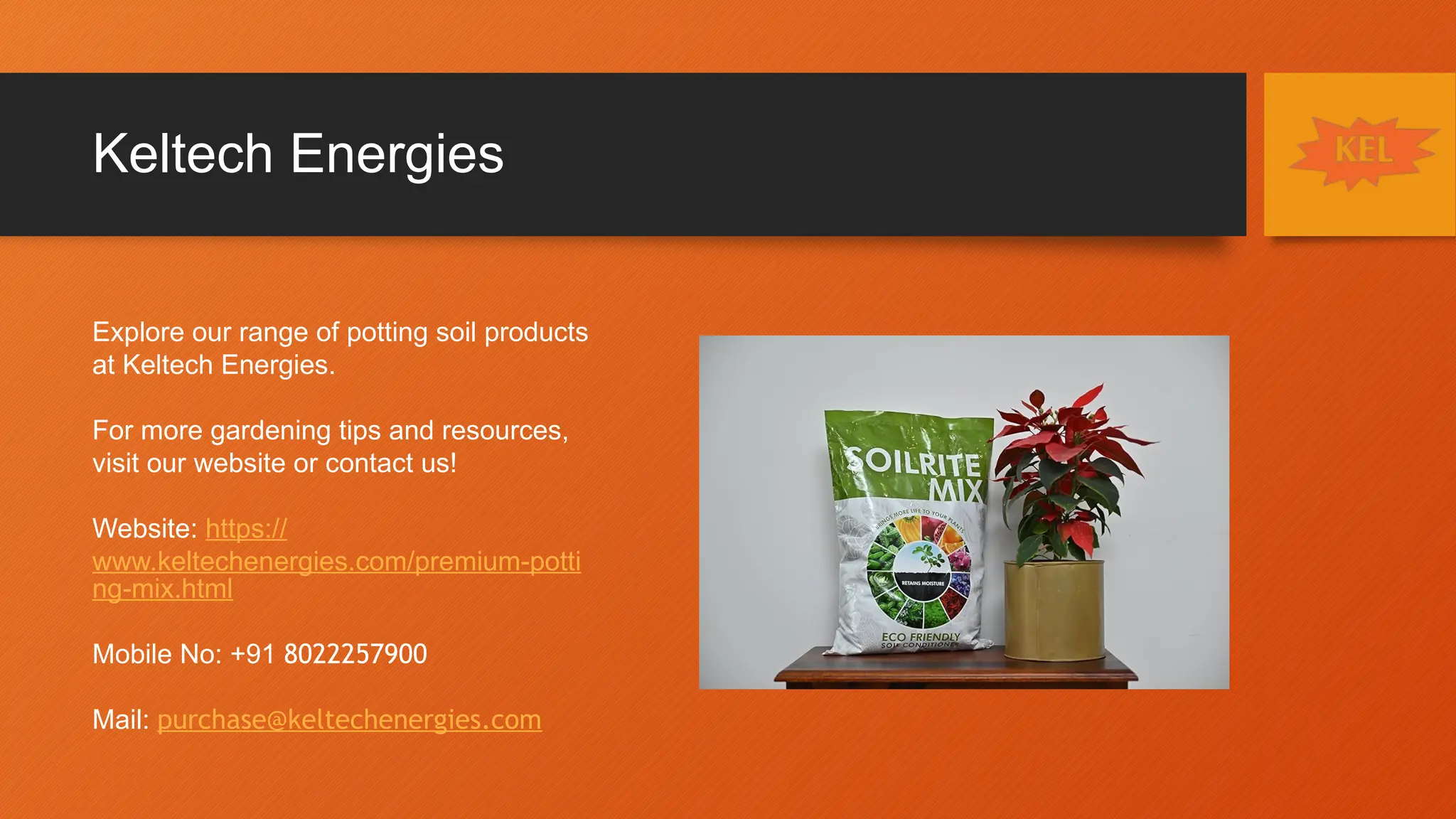 The Essential Guide to Potting Soil Ingredients for Thriving Plants.pptx