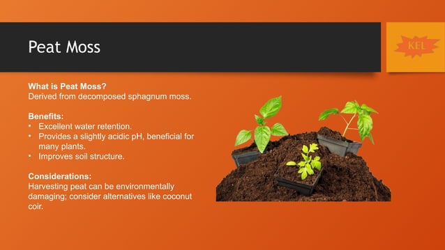 The Essential Guide to Potting Soil Ingredients for Thriving Plants.pptx