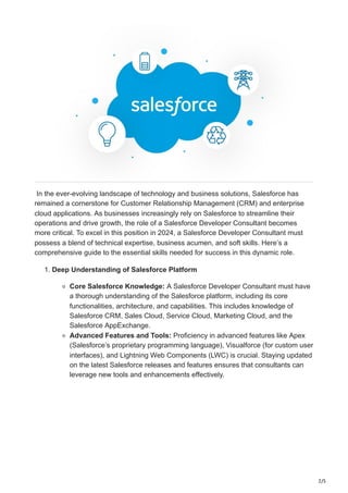 The Essential Skills Every Salesforce Developer Consultant Needs in ...
