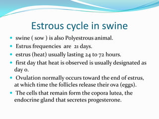 The estrous cycle | PPTX