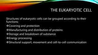 The Eukaryotic cell | PPTX