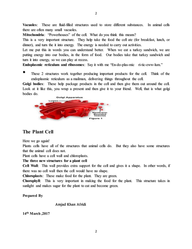 The Eukaryotic Cell Structure And Function Docx