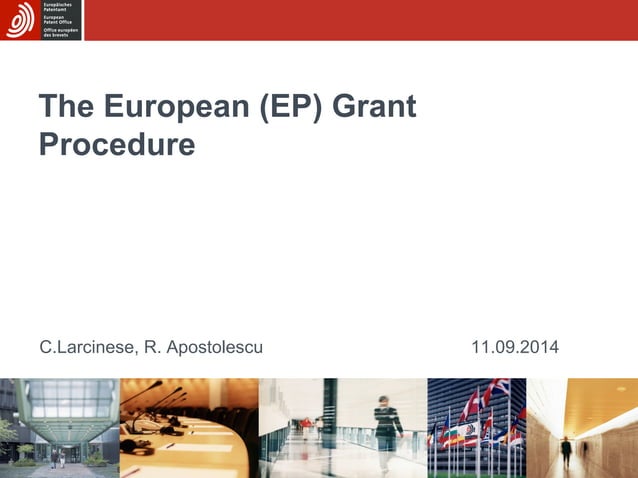 The European (EP) grant procedure | PPT | Law