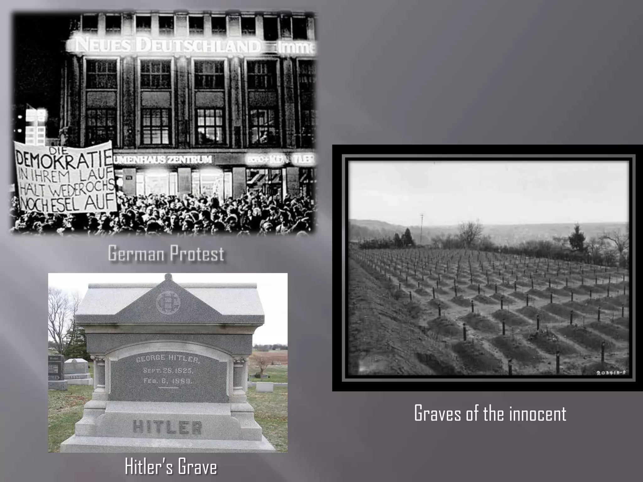 The euthanasia program | PPTX