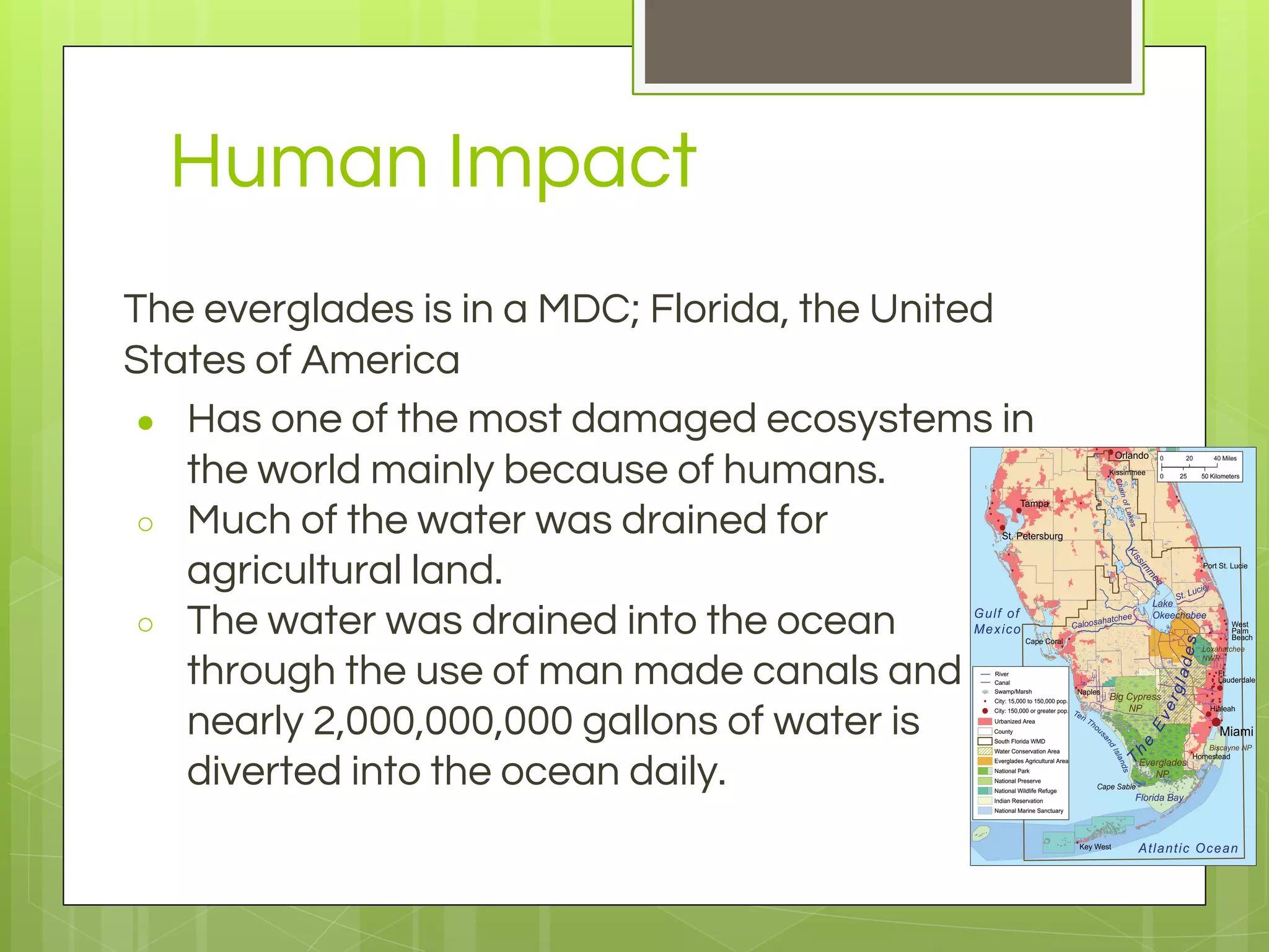 The everglades PERIOD 3 | PPT