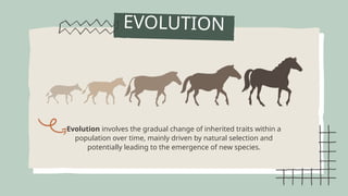 Unraveling Evolution: Natural Selection, Evidence, and Adaptations | PPTX