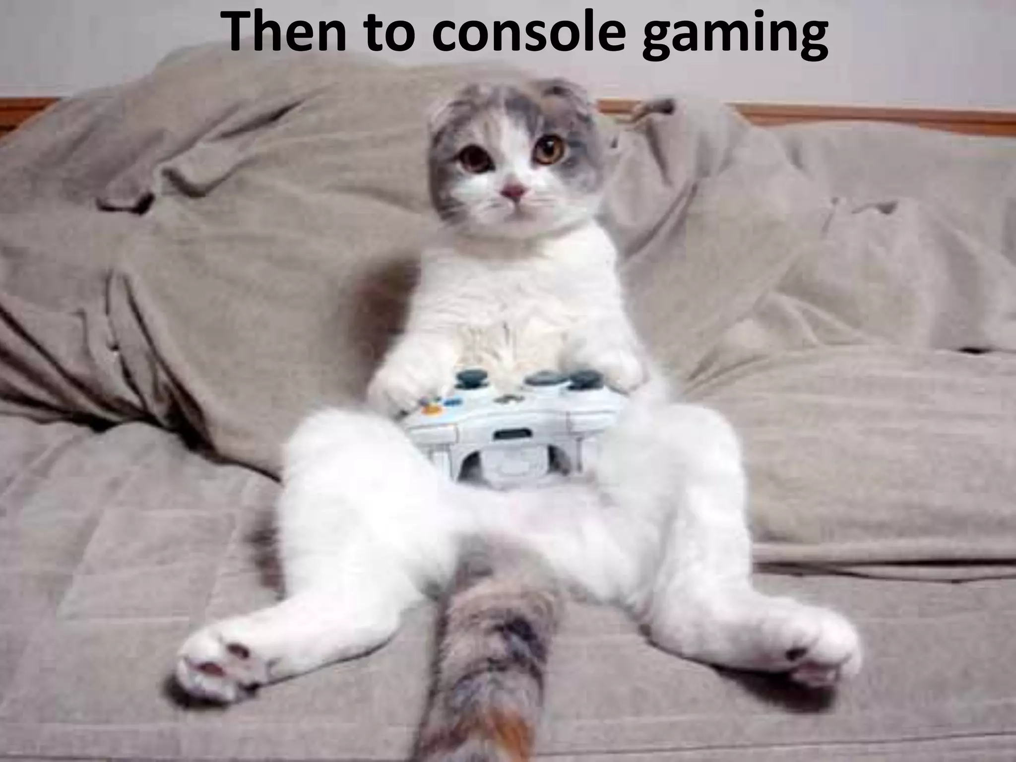 The evolution of a gamer | PPTX