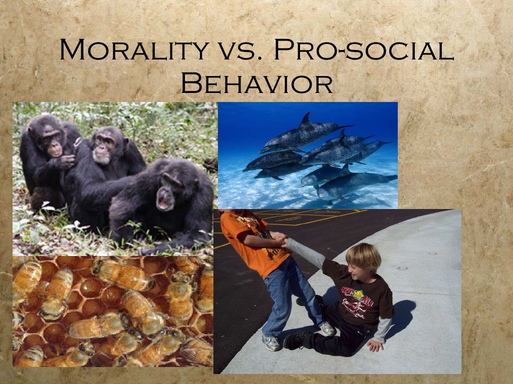 From Molecules to Morality: The Evolution Of Altruism