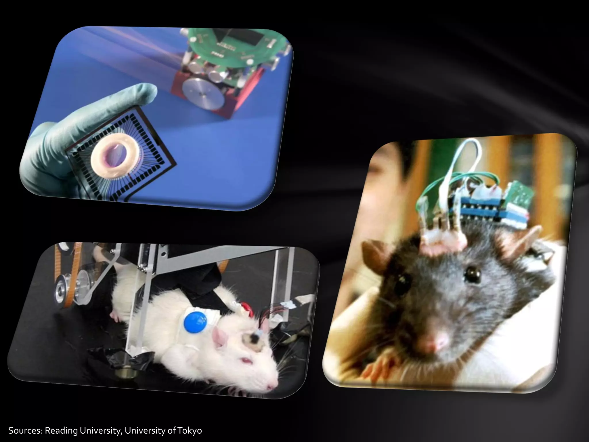 The evolution of a mobile phone | PDF | Smartphones | Consumer Electronics